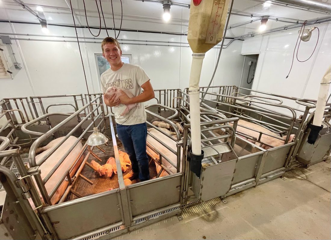 Hog farmers feeding America, world | News, Sports, Jobs - Marshall ...